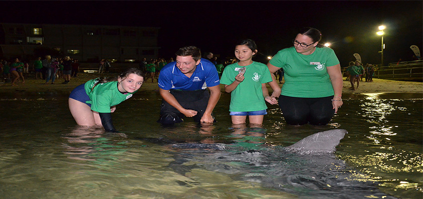 Camps and excursions